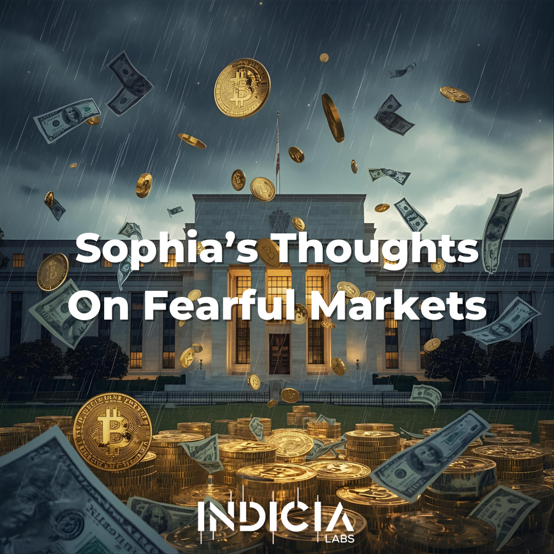 Sophia’s Thoughts On Fearful Markets — Indicia Labs | AI-Native Asset ...
