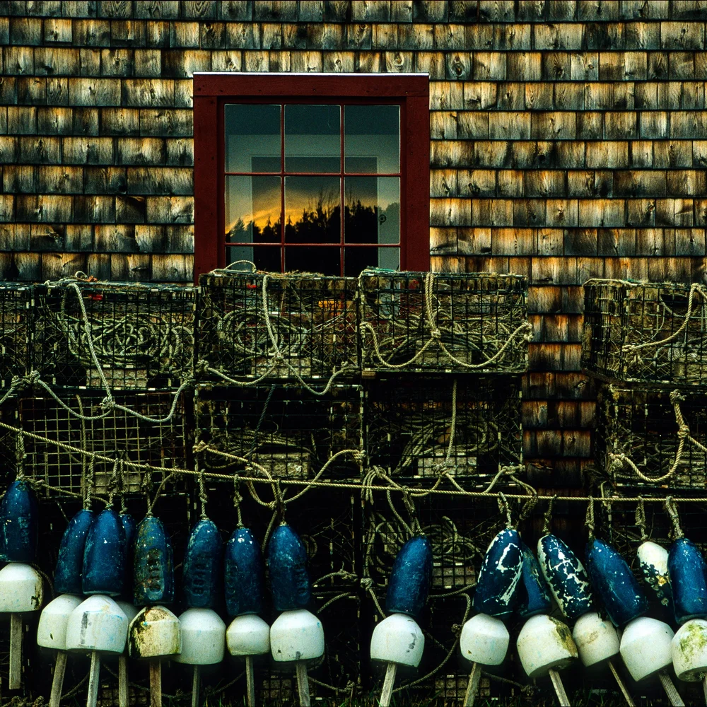 World Class Photography Workshops- Doug Johnson Photography