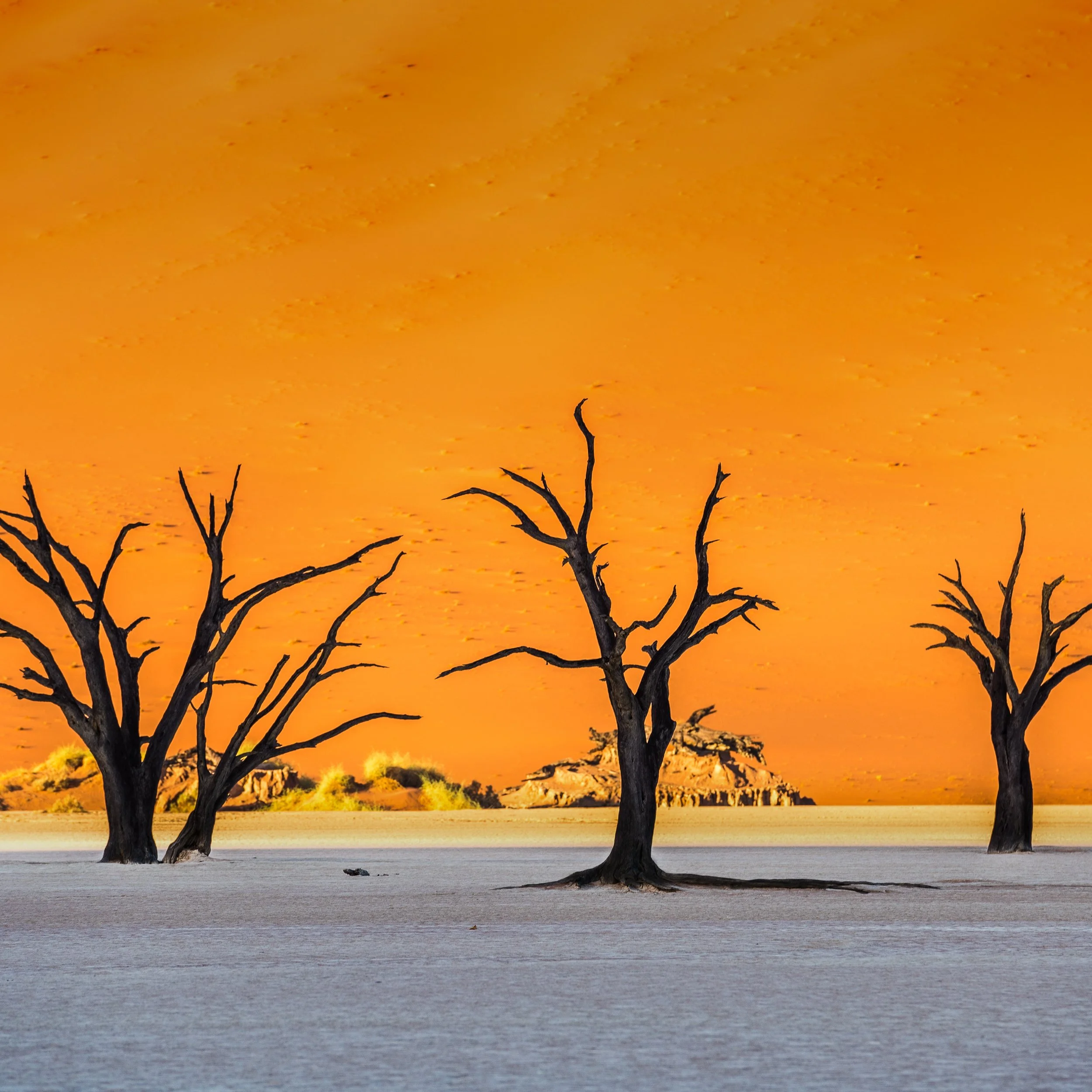 World Class Landscape Photography Workshops- Doug Johnson Photography