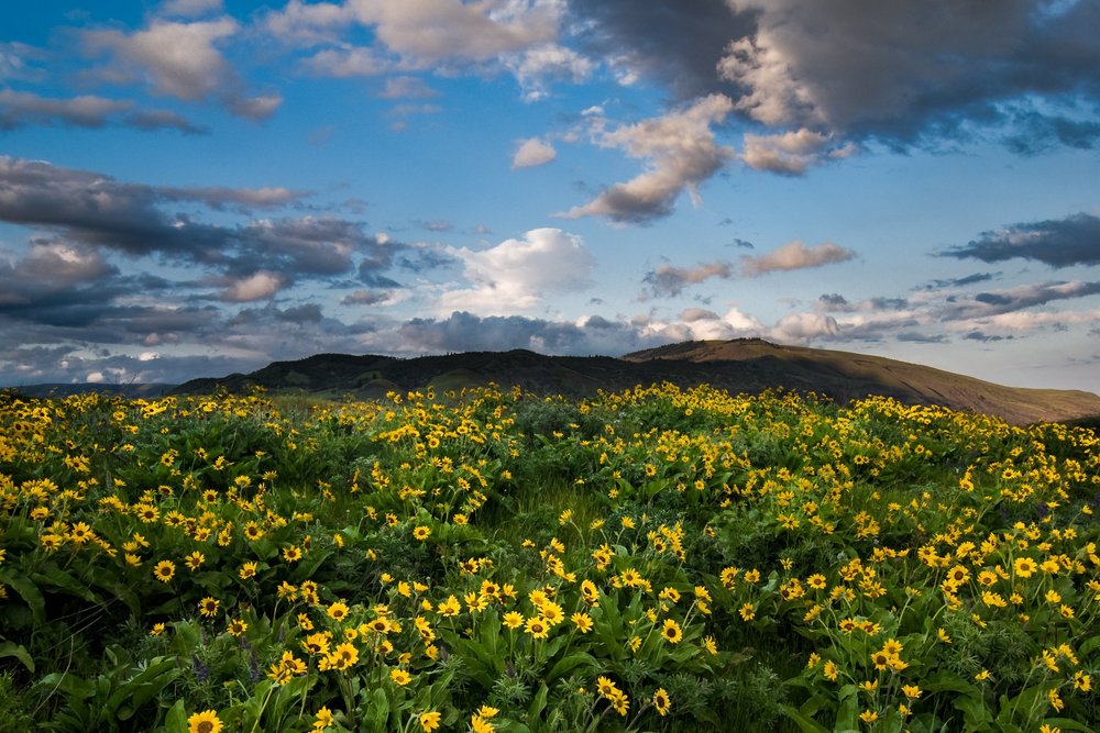 World Class Photography Workshops- Doug Johnson Photography