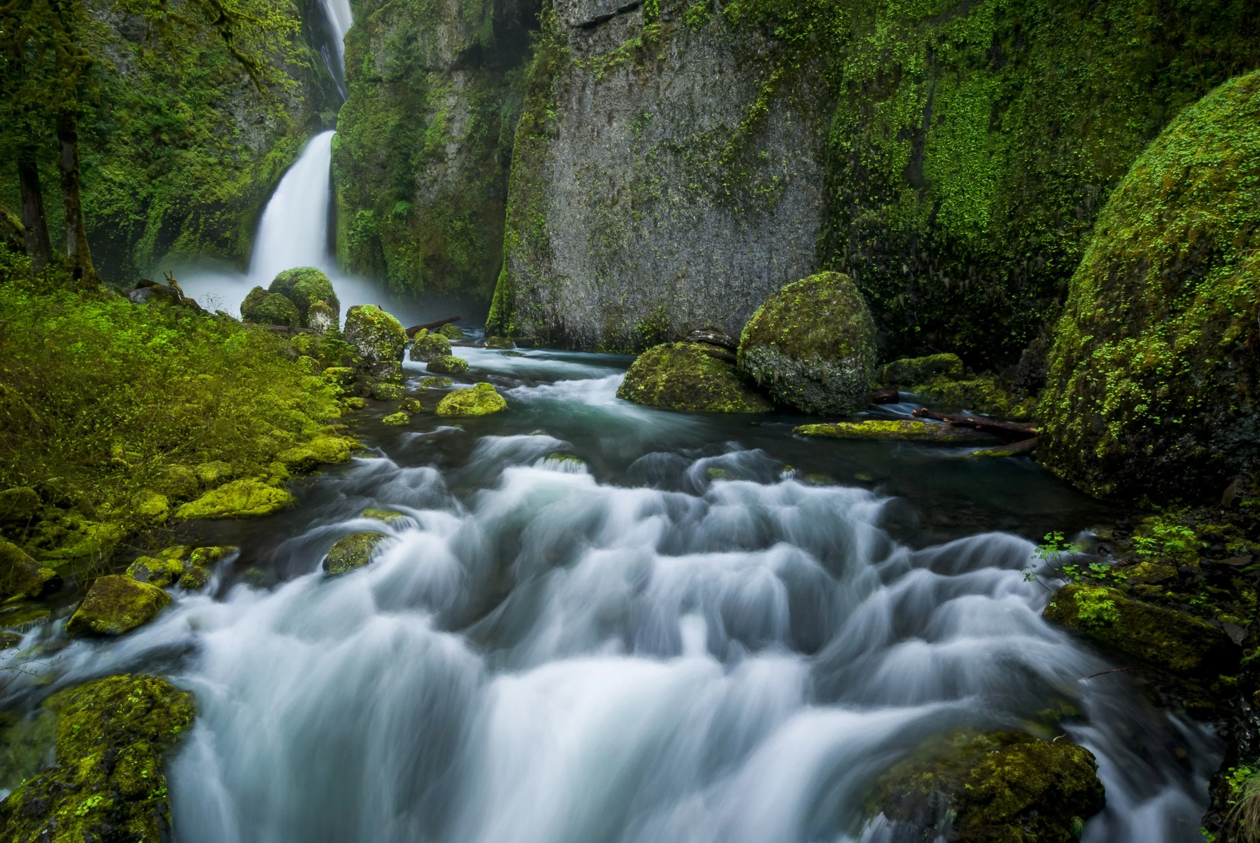 Oregon River Gorge