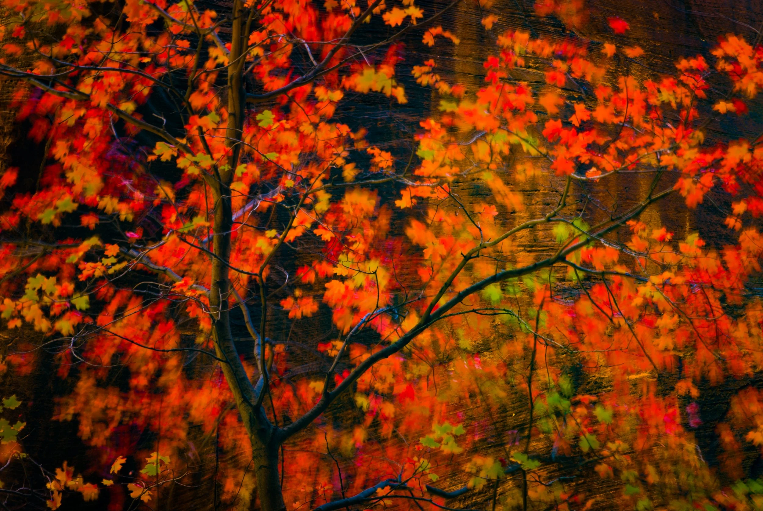 Home Room Bi-Monthly Community Space — Doug Johnson Photography