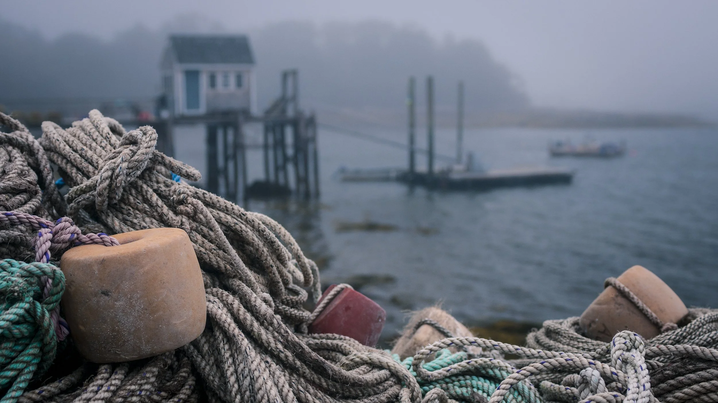 World Class Photography Workshops- Doug Johnson Photography