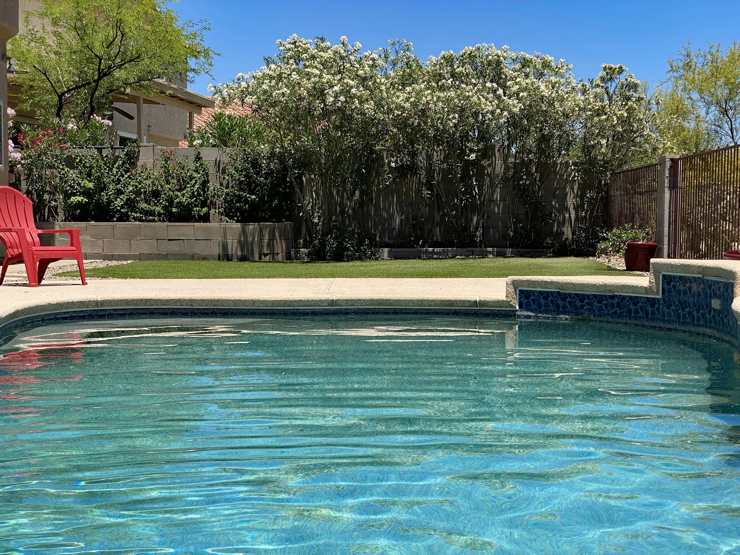 Bluepoint Pool Service