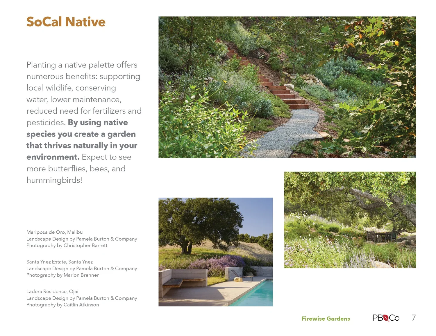 Firewise Gardens Booklet — Pamela Burton & Company