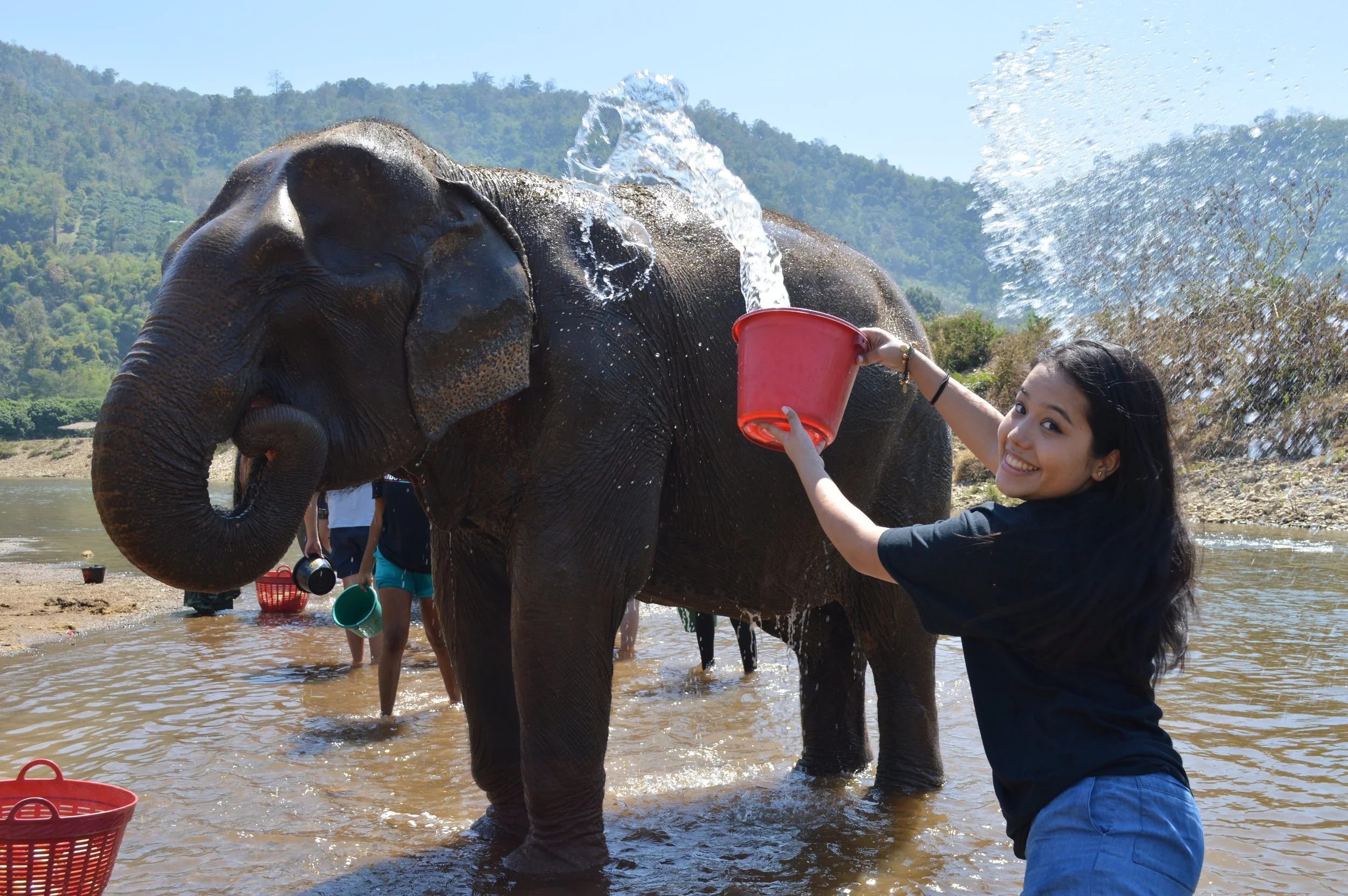 Partners — KIDS N CULTURE