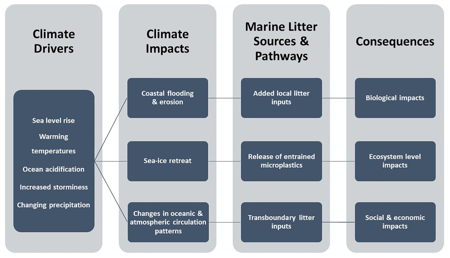 Climate change contributes to a rise in marine litter and ocean plastic ...