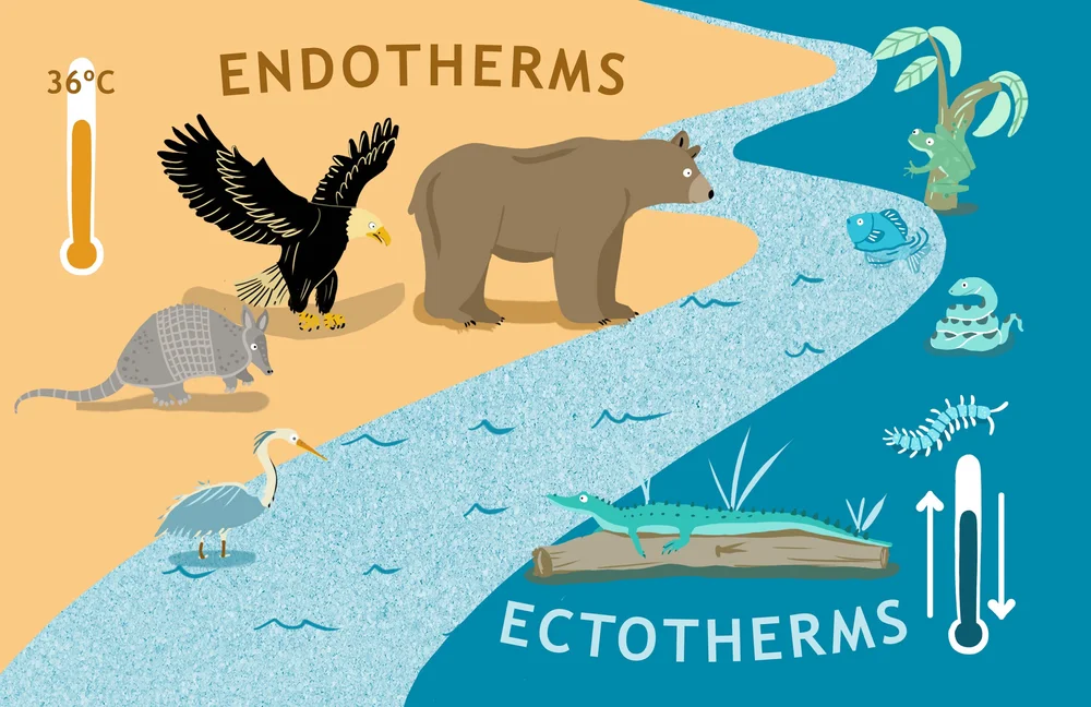 Introduction to Environmental Science — One Beautiful Planet