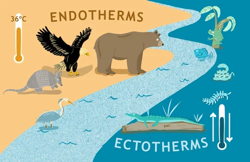 Introduction to Environmental Science — One Beautiful Planet