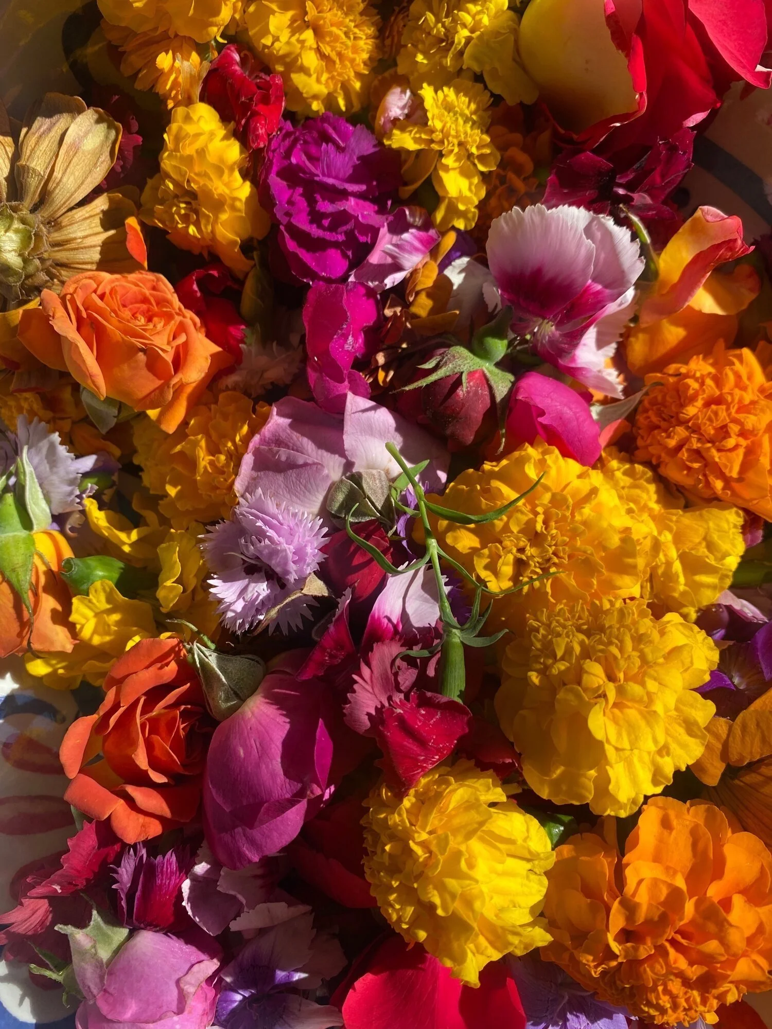 Flower-Powered Botánika + Mystical Gift Shop