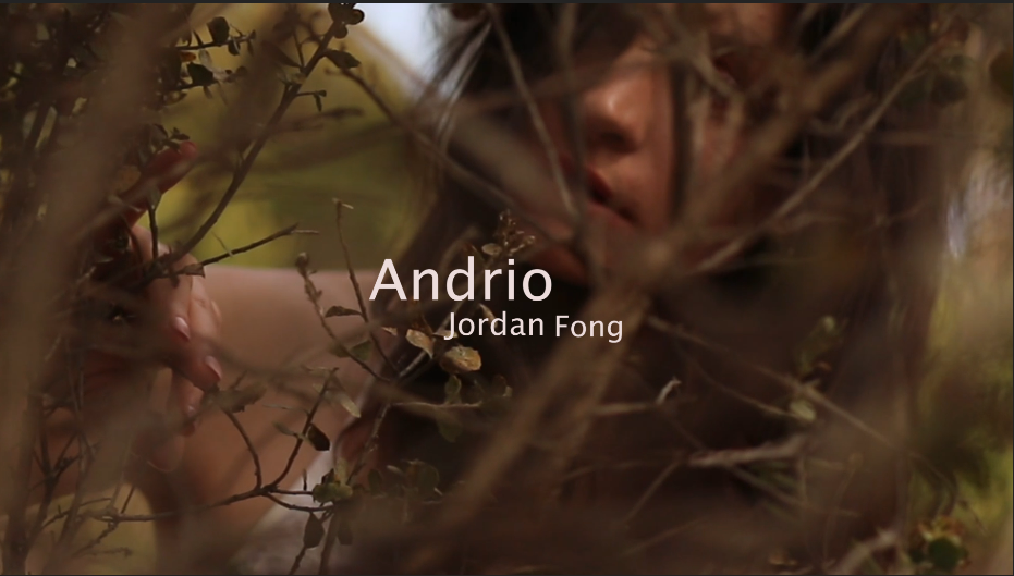 Andrio Jordan Fong | Bay Area Dancer, Actor, Singer, Photographer ...