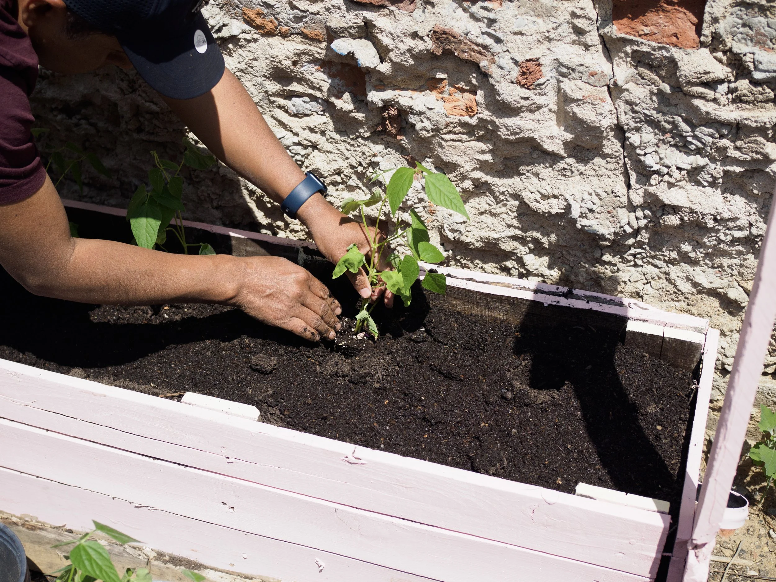 The Connected Chef Announces Major Private Gift to Support its Food ...