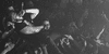 CAM STEADY | Official Website