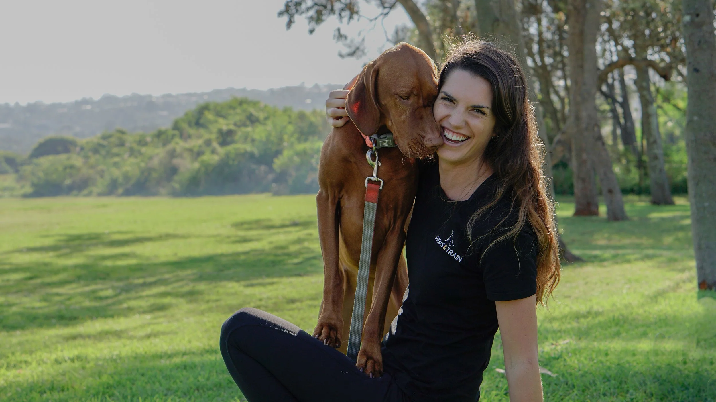 Paws & Train | Dog Training & Behaviour Services - Sydney