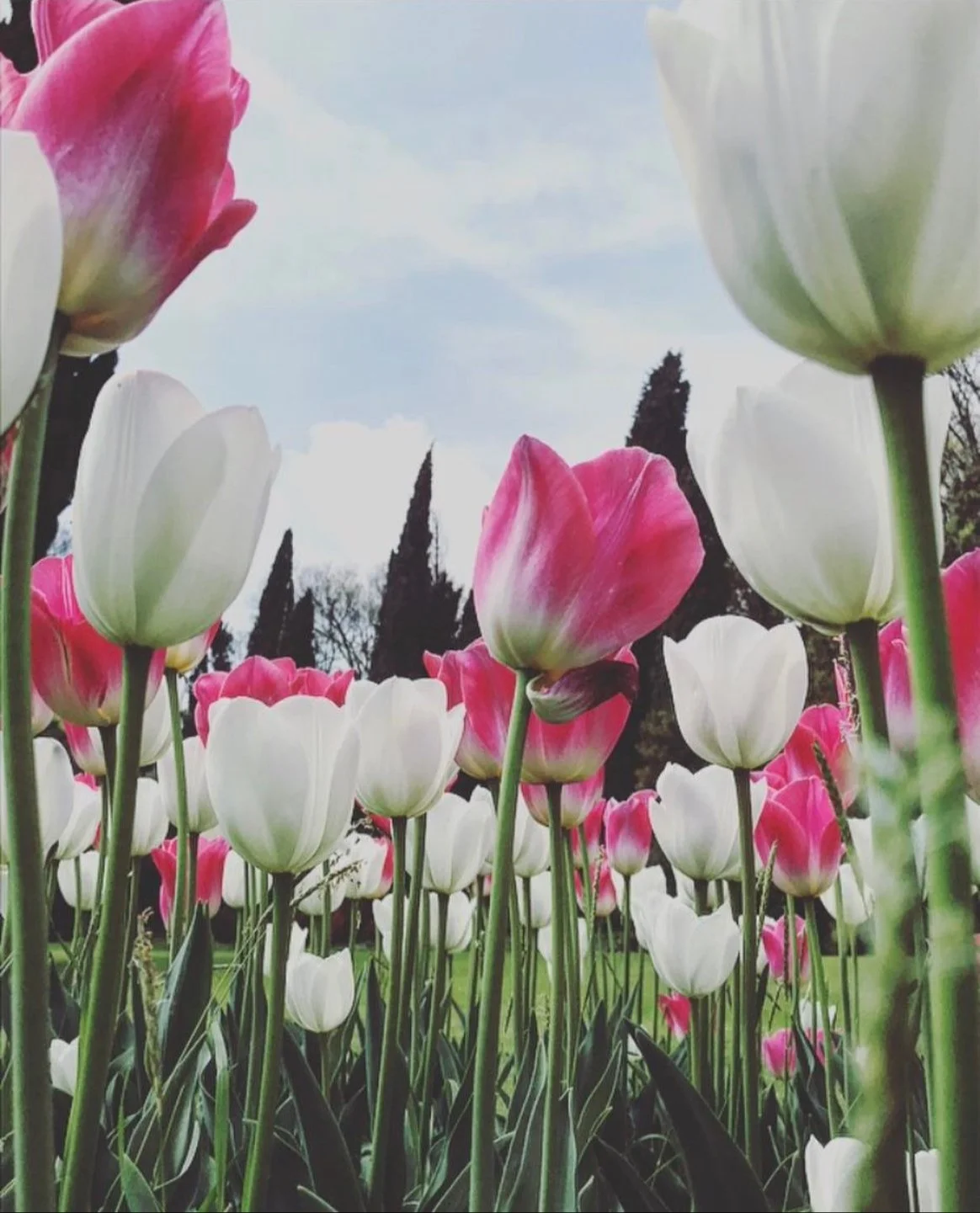 Leaves - Café & Eventlocation