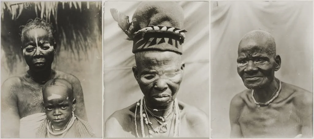 Different Types of Dibias in the 21st Century (and Their Functions ...