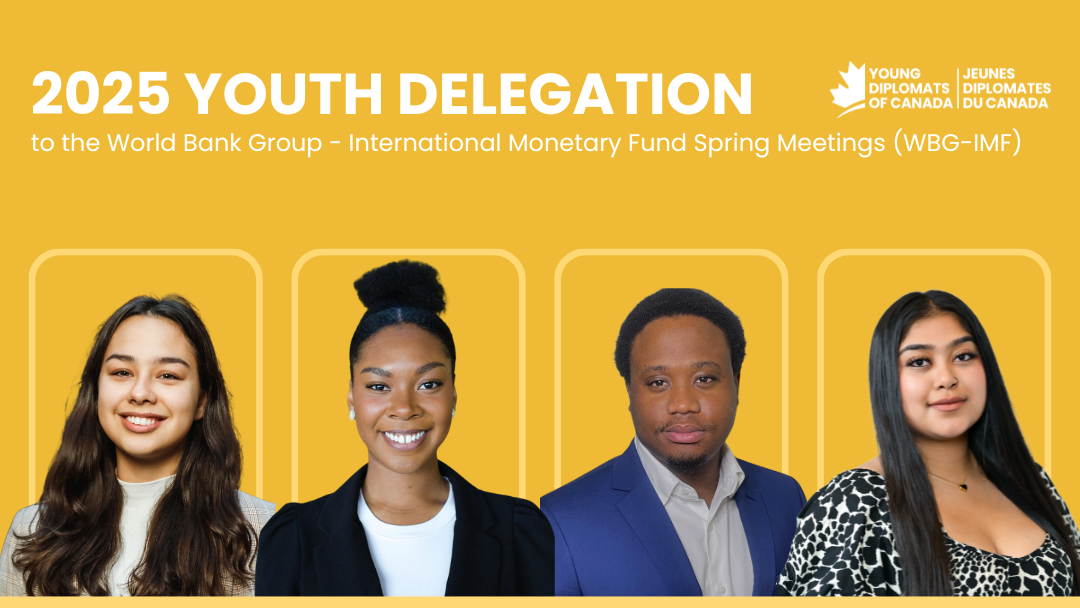 Announcing YDC’s Youth Delegations to the CSW69, 2025 HLPF and 2025 WBG ...