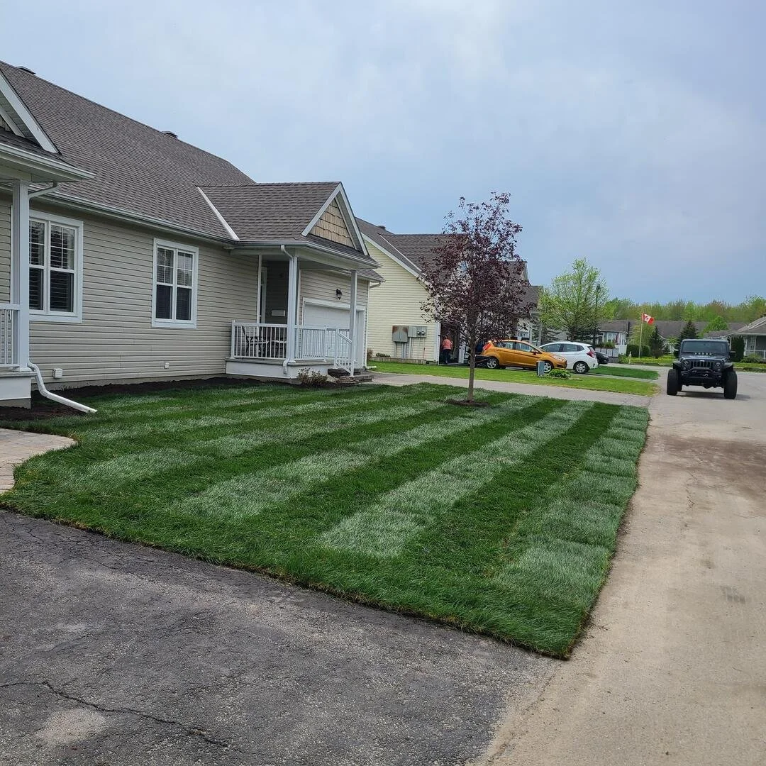 Services-Sod | Transform Your Lawn Today — Request a Quote — Greenday ...