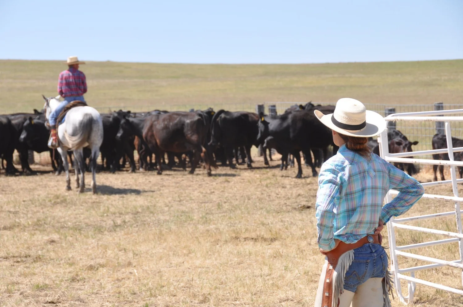 Our Work — Paladin Ranch Resources