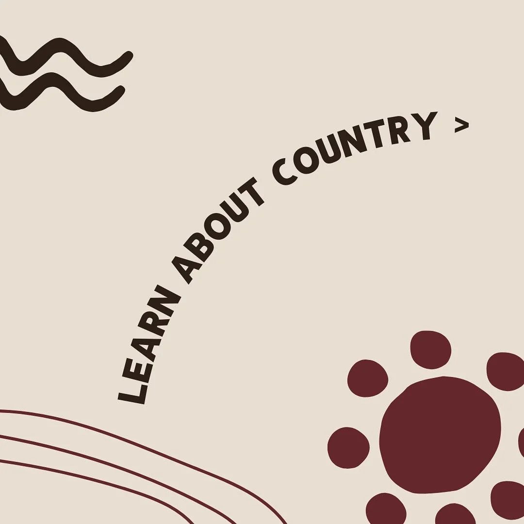 Aboriginal Art Murals — Djalgala | Aboriginal Cultural Programs