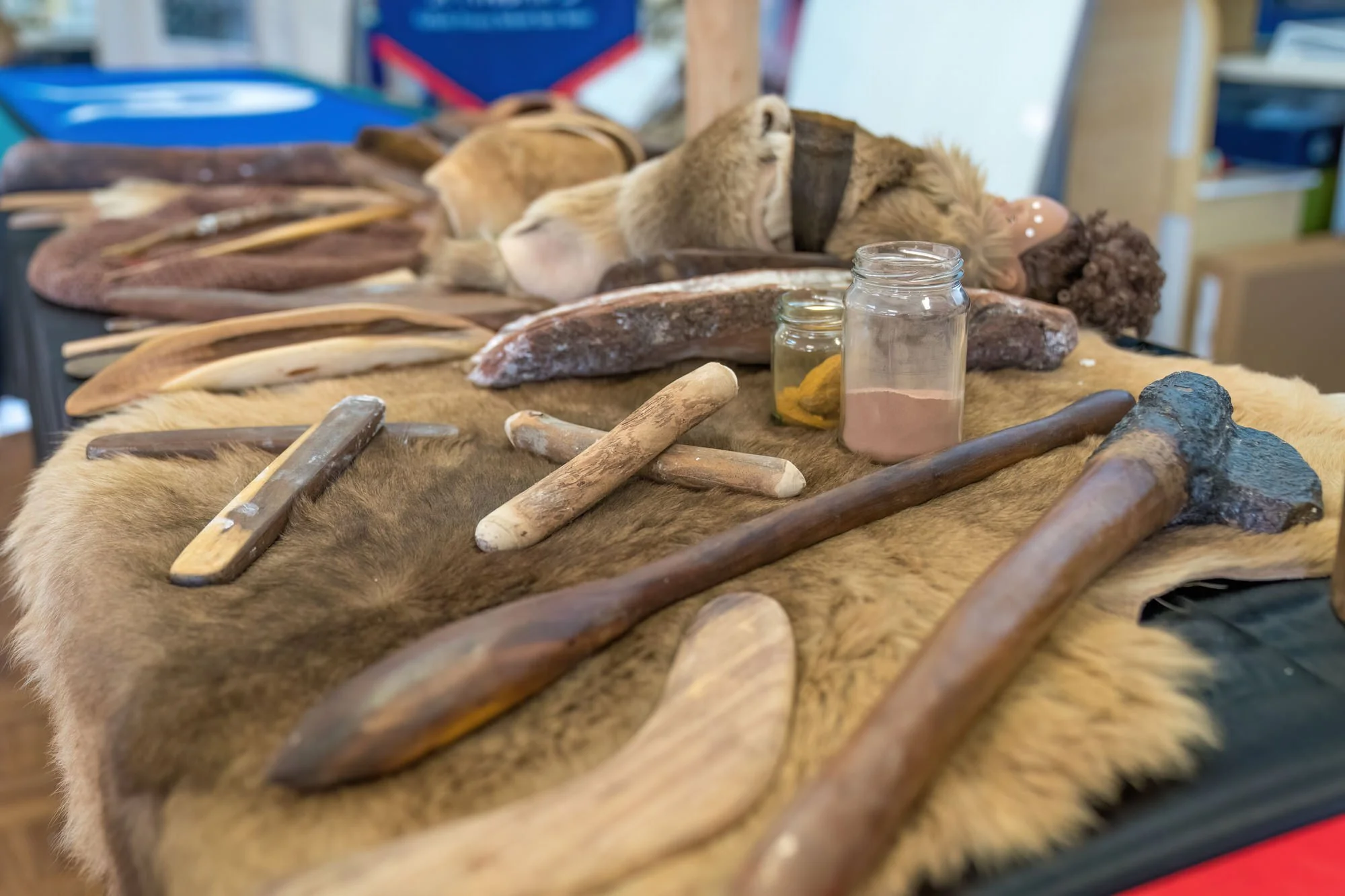 Professional Development in Aboriginal Cultural Education | Djalgala ...