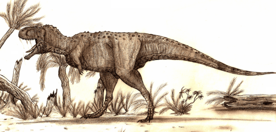 Indosaurus — DinoDen