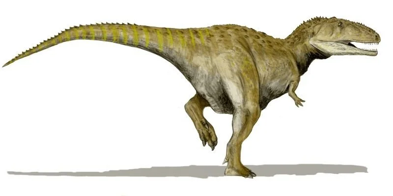 Mapusaurus — DinoDen