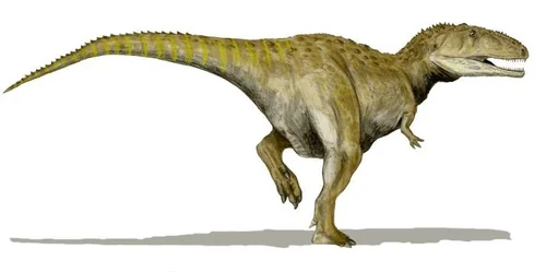 Mapusaurus — DinoDen