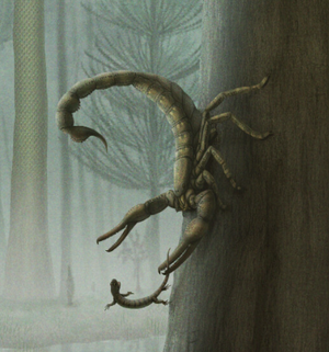 Pulmonoscorpius — DinoDen
