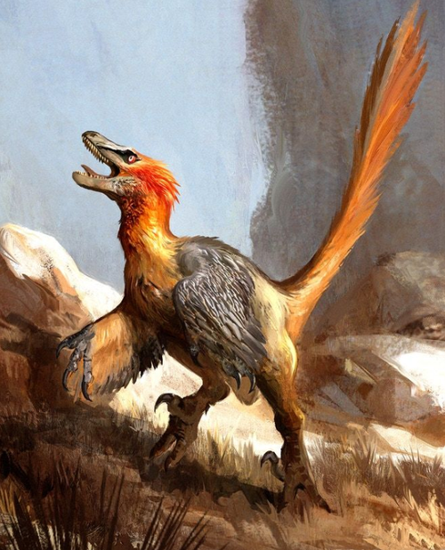 Velociraptor — DinoDen