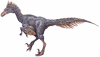 Unenlagia — DinoDen
