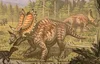 Utahceratops — DinoDen