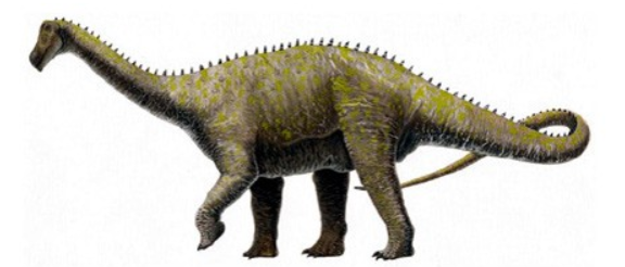 Quaesitosaurus — DinoDen