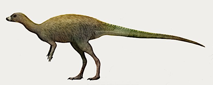 Nanosaurus — DinoDen