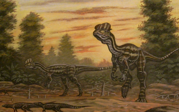 Dilophosaurus — DinoDen