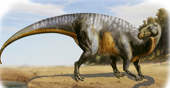 Hadrosaurus — DinoDen