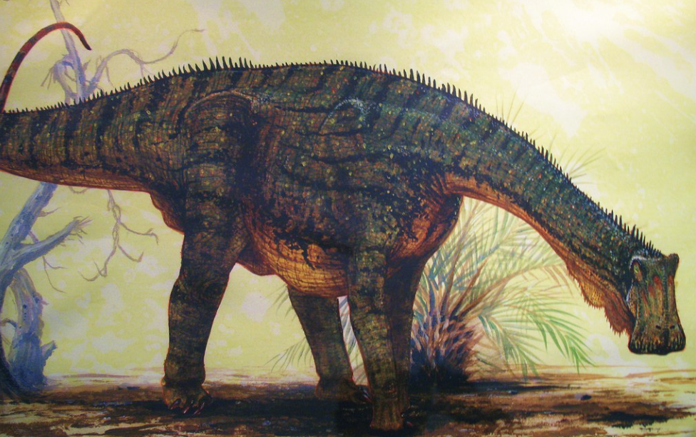 Nigersaurus — DinoDen