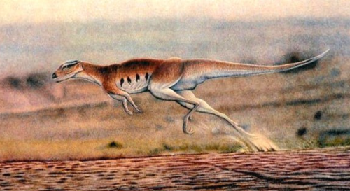 Lesothosaurus — DinoDen