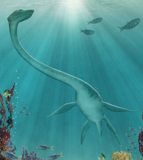 Futabasaurus — DinoDen