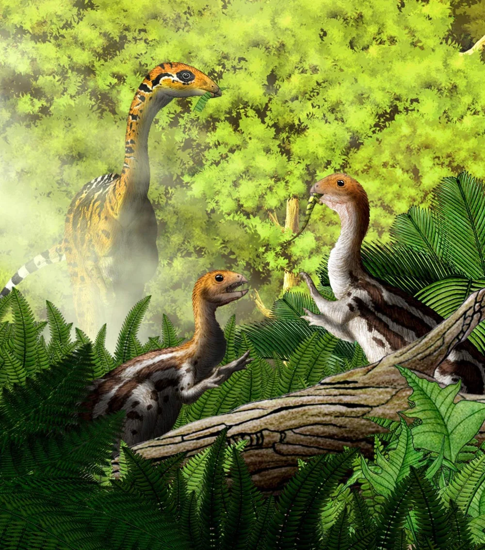 Limusaurus — DinoDen