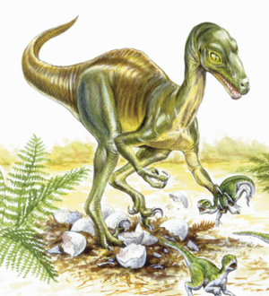 Troodon — DinoDen