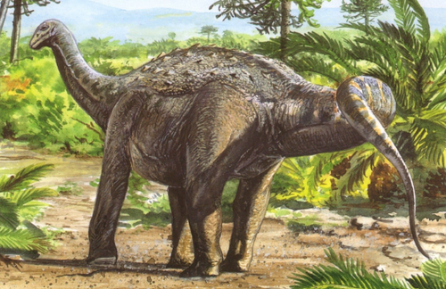 Saltasaurus — DinoDen