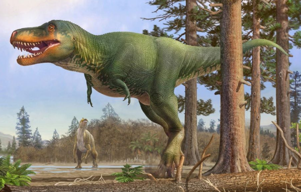 Tarbosaurus — DinoDen
