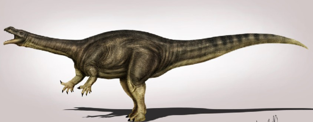 Aardonyx — DinoDen