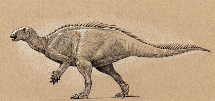 Uteodon — DinoDen