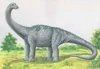 Kotasaurus — DinoDen