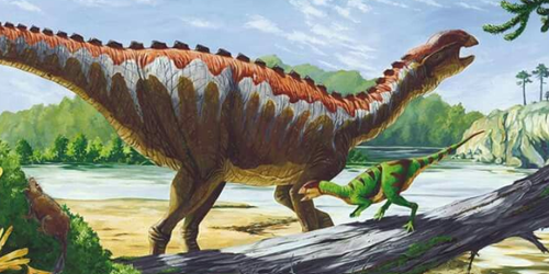 Muttaburrasaurus — DinoDen