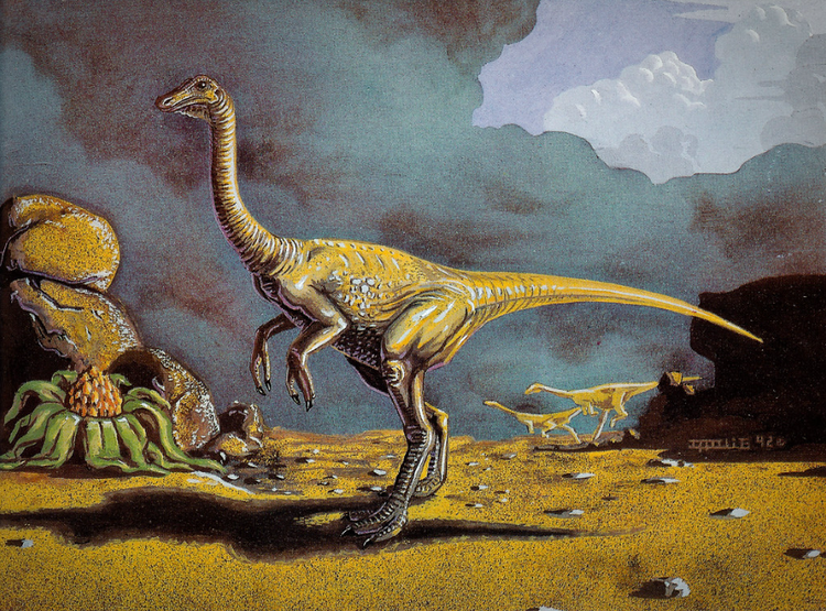 Gallimimus — DinoDen