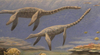 Eoplesiosaurus — DinoDen