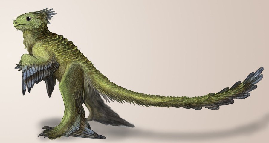 Xiaotingia — DinoDen